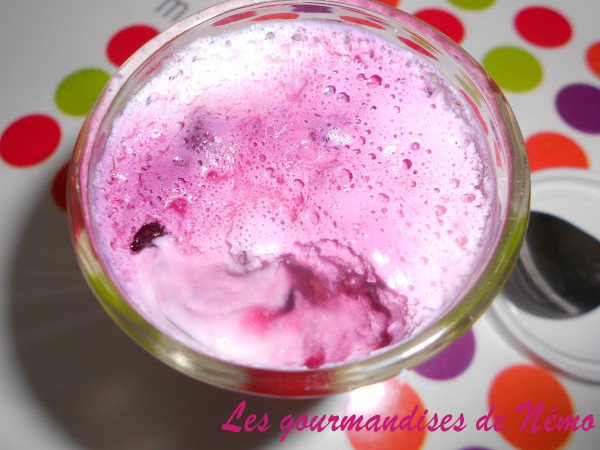 Yaourts aux fruits rouges – Les Gourmandises de Némo