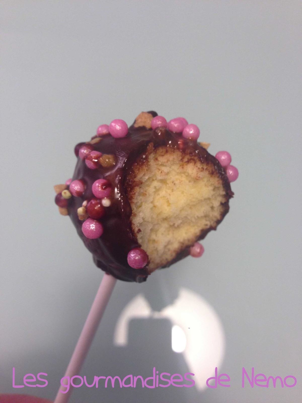 Cake Pops avec biscuit maison | Les Gourmandises de Némo