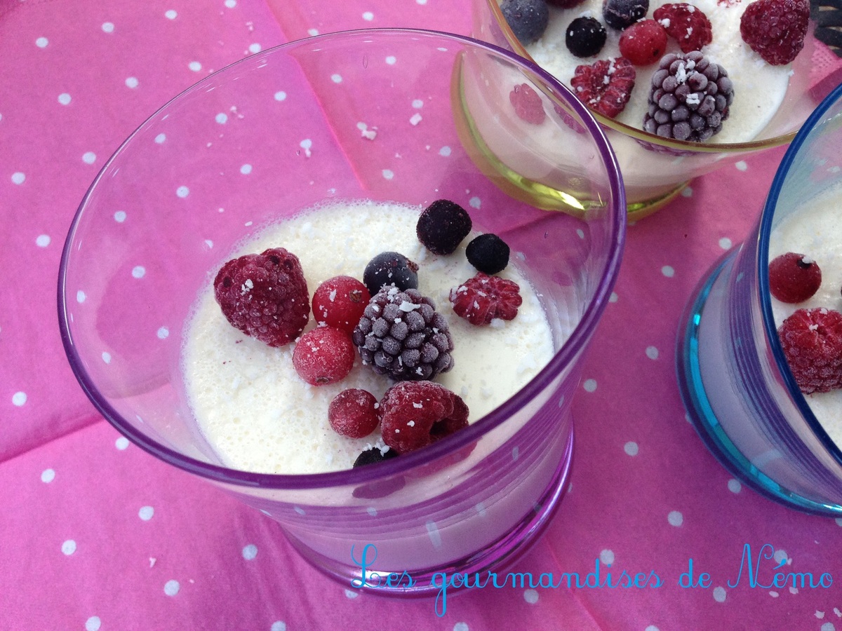 Panna Cotta au lait de coco – Les Gourmandises de Némo