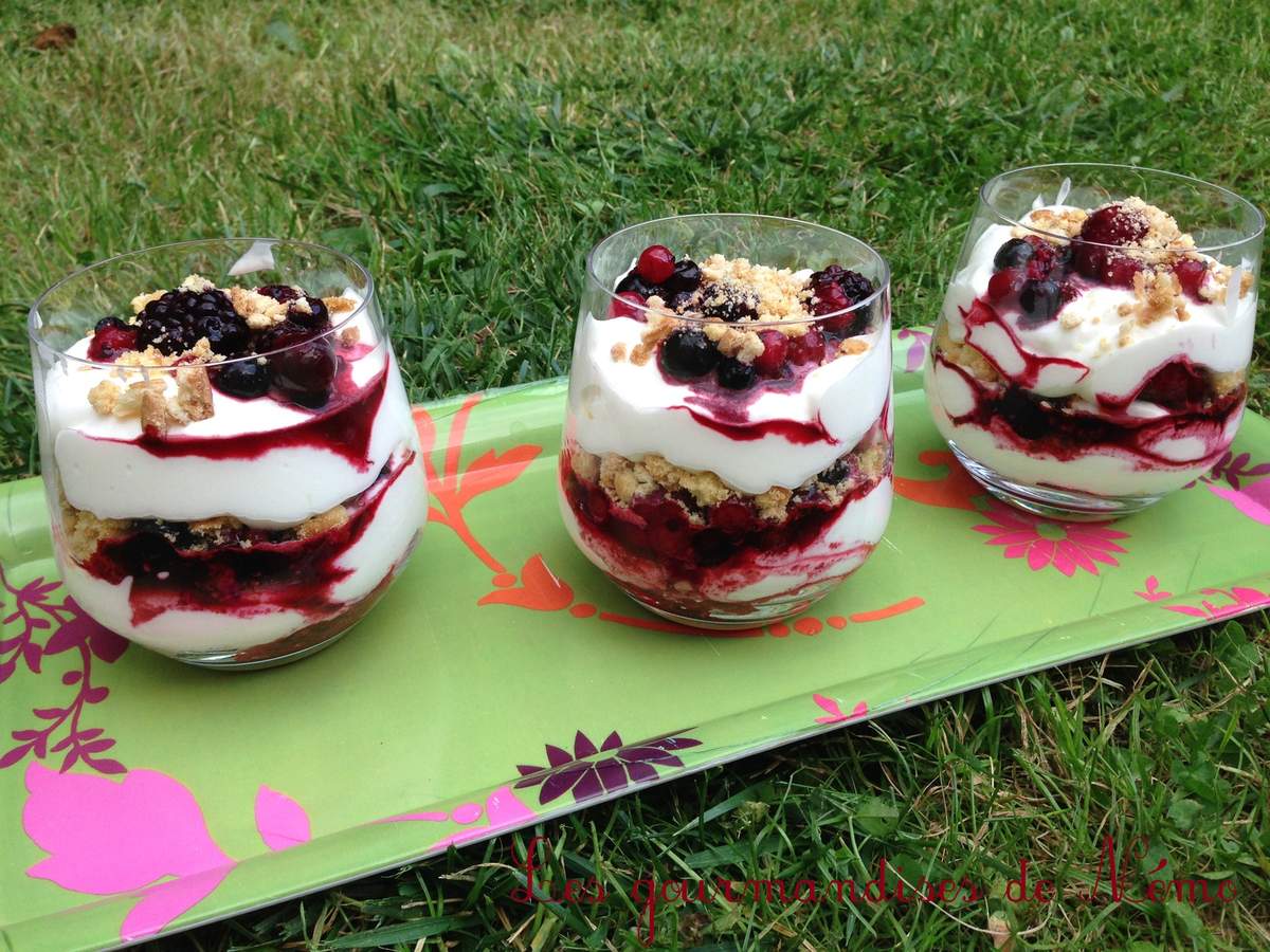 Verrines aux fruits rouges et sans mascarpone – Les Gourmandises de Némo