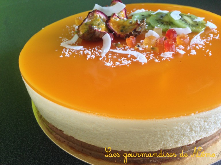 Entremet fruits de la passion, insert mangue | Les Gourmandises de Némo