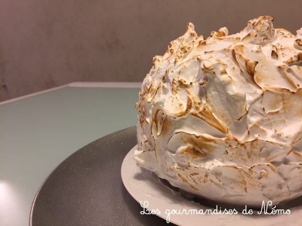 L'Alaska Bomb dans Le Meilleur Pâtissier | Les Gourmandises de Némo