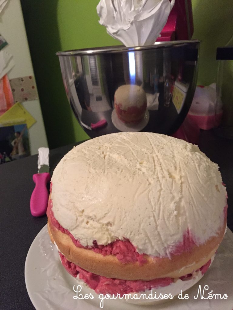 L'Alaska Bomb dans Le Meilleur Pâtissier | Les Gourmandises de Némo