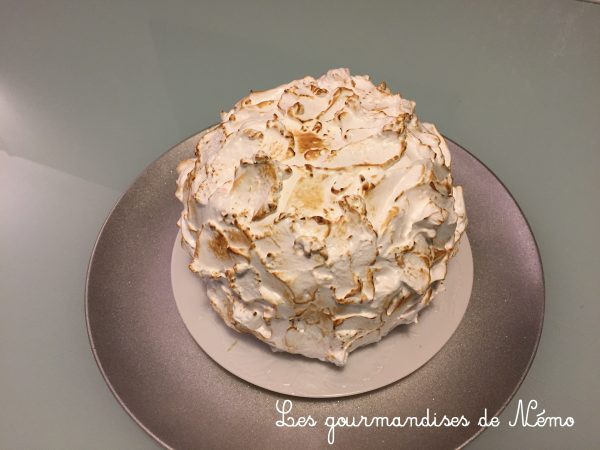 L'Alaska Bomb dans Le Meilleur Pâtissier | Les Gourmandises de Némo