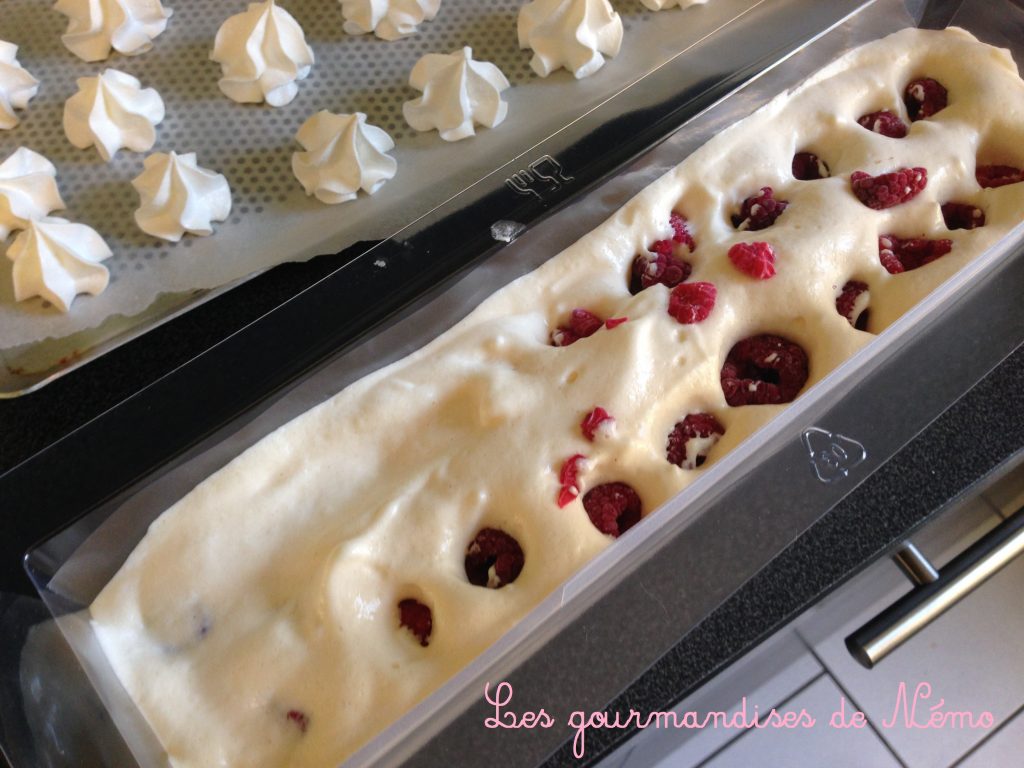 Bûche glacée vanille, meringues et framboises | Les Gourmandises de Némo
