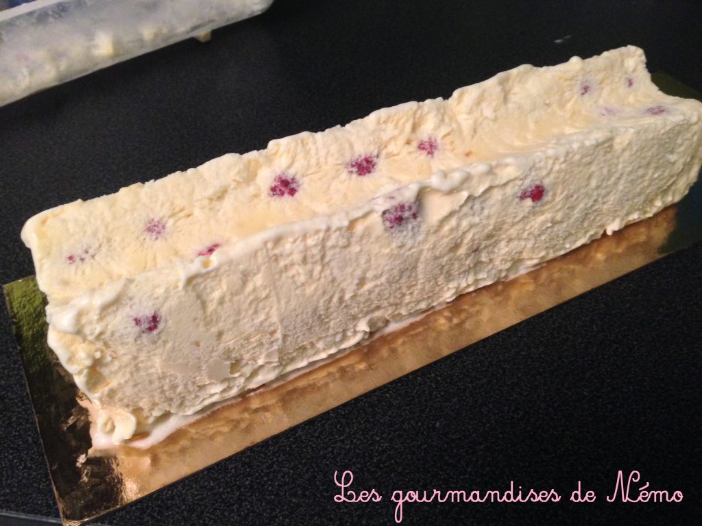 Bûche glacée vanille, meringues et framboises | Les Gourmandises de Némo