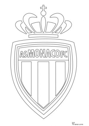 Gâteau Maillot de Foot AS Monaco | Les Gourmandises de Némo